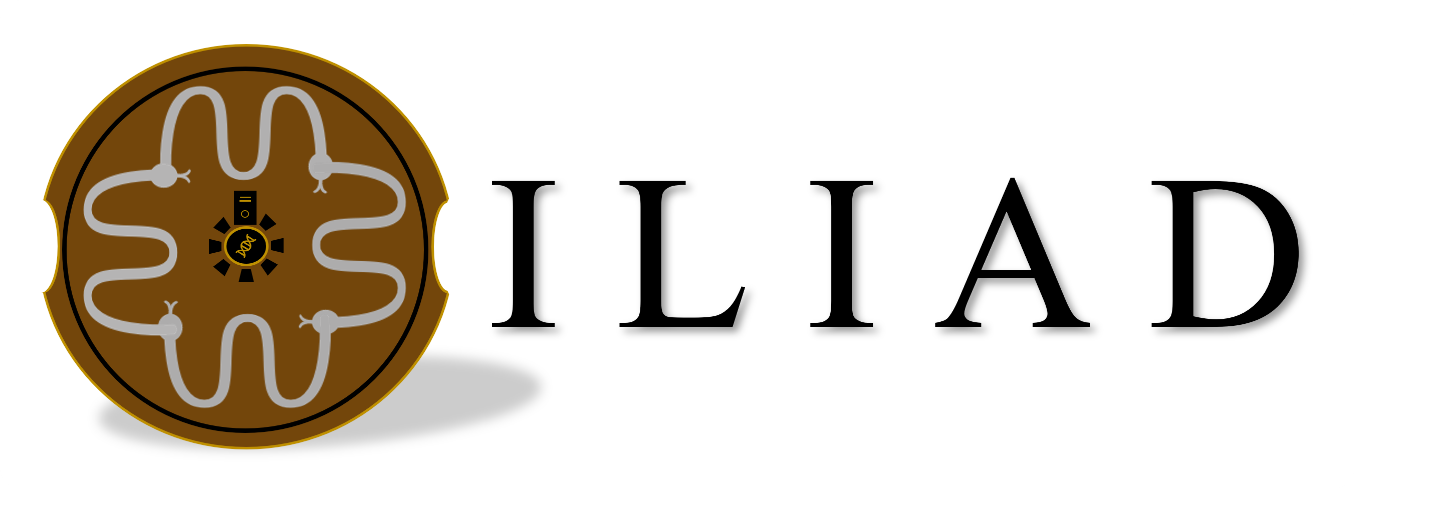 Frequently Asked Questions Iliad Documentation Frequently Asked Questions Iliad Documentation